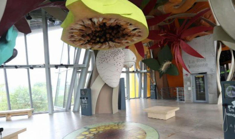 El Biomuseo inaugurará las nuevas galerías | LatinOL.com SpotFASHION