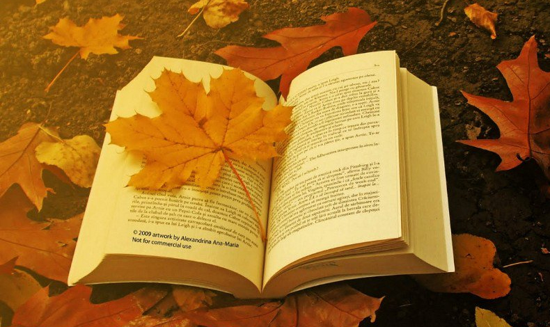 ¿Por qué se debe enseñar el género poético? | LatinOL.com Vida Social