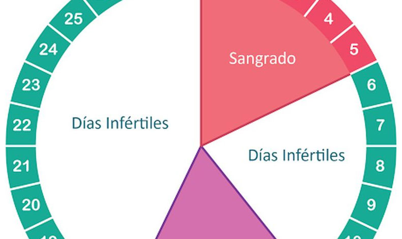 Todo lo que debes saber sobre el ciclo menstrual | LatinOL.com SpotFASHION