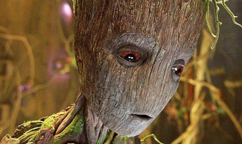 ‘Infinity War’: Terry Notary habla sobre cómo veremos a Groot en la ...