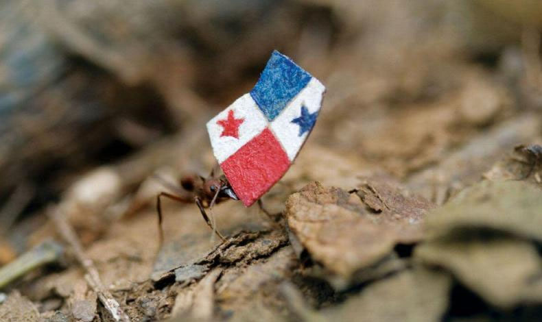 ¿Cómo surge la obra ‘Coexistencia’ de Donna Conlon? | LatinOL.com Vida ...