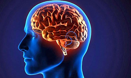 ¿Qué sucede en el cerebro cuando escuchamos nuestro nombre? | LatinOL.com Vida Social