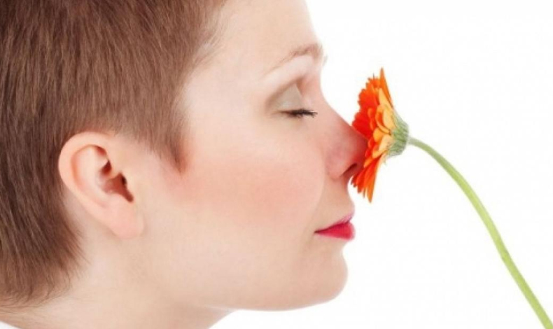 ¿Sabías que los olores están clasificados por tipos? | LatinOL.com Vida ...