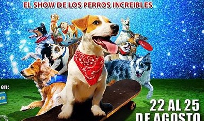 Llega a Panamá, el show de los Perros Increíbles del 22 al 25 de Agosto ...